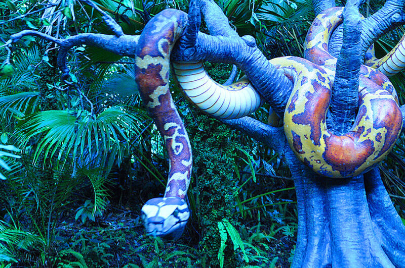 The Jungle Cruise – Guide to the Magic